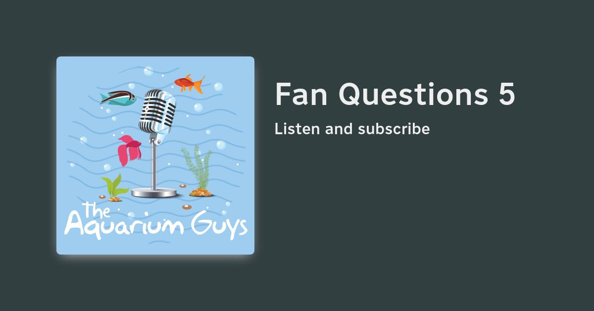#102 – Fan Questions 5