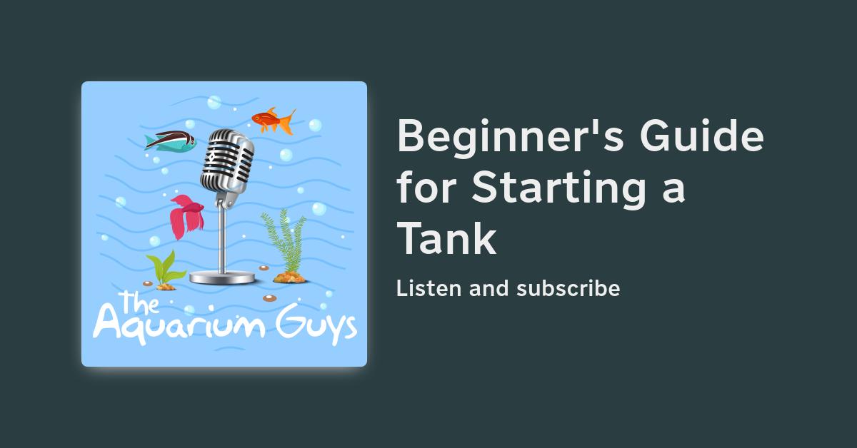 #7 – Beginner's Guide for Starting a Tank